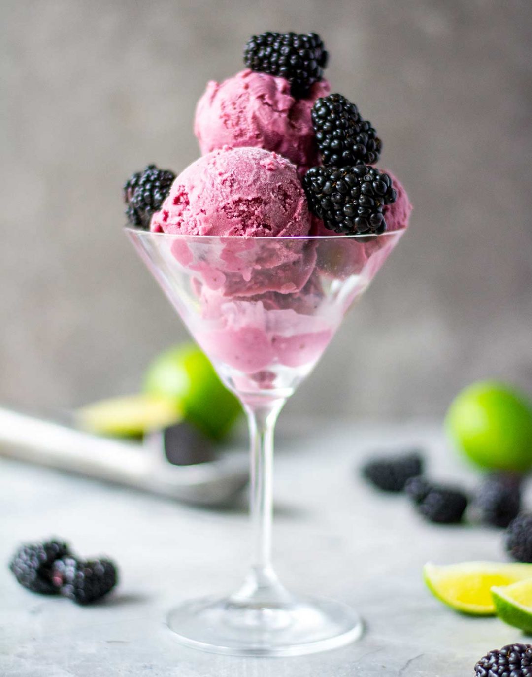 Blackberry Lime Gelato – Elemental Custard